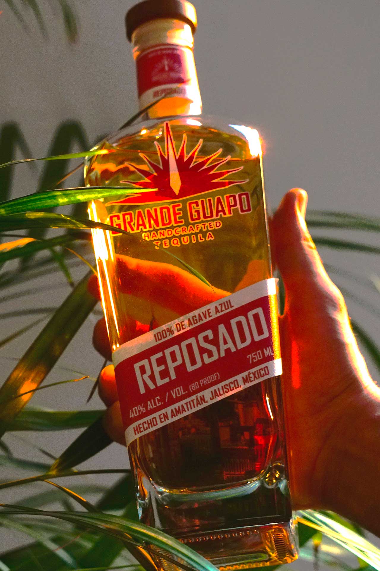 TEQUILAS – Grande Guapo Tequila